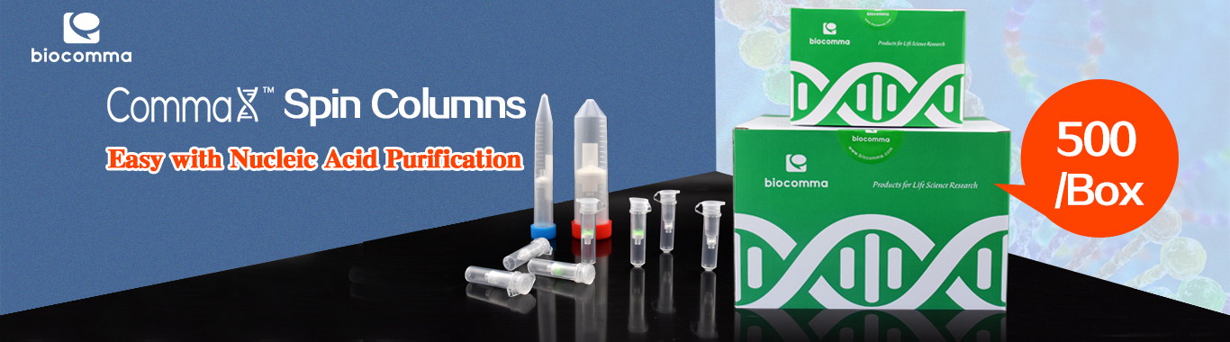 SPE FPLC Columns Protein Nucleic Acid Purification Porous Plastic ...